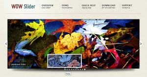 Sélection de Slideshow et Carrousels