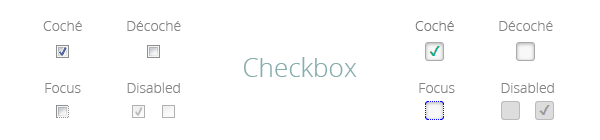 Customize Checkbox And Radio Button With Css
