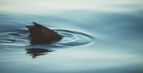 La méthode Natural Flow First